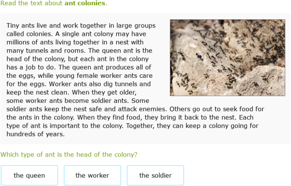 IXL - Read about animals (Year 4 English practice)