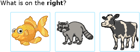IXL - Left, middle and right (Year 2 maths practice)