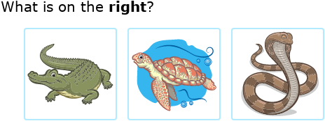 IXL - Left, middle and right (Year 1 maths practice)