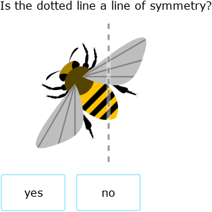 IXL - Identify lines of symmetry (Year 5 maths practice)