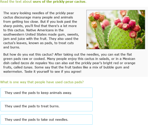 IXL - Read about food (Year 4 English practice)