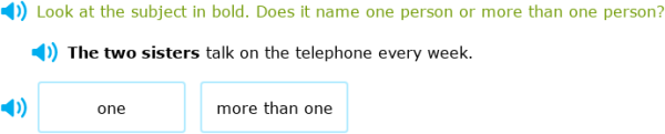 IXL - One or more than one? (Year 3 English practice)